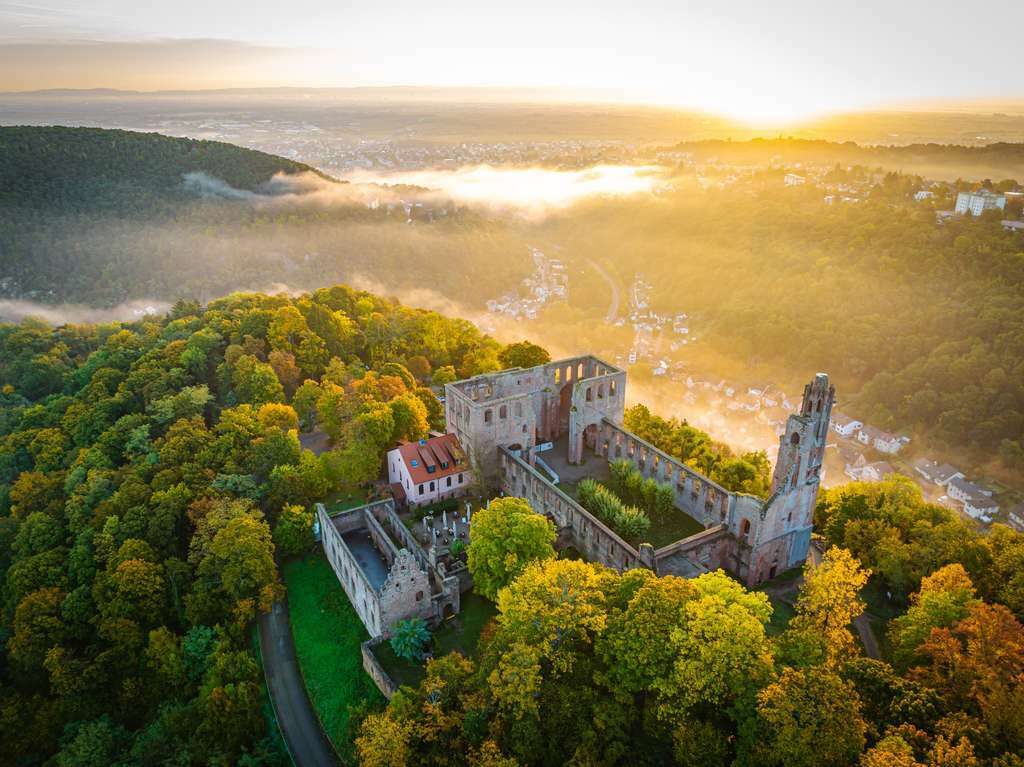 Burgruine Limburg im Herbstnebel | Heimatfotos
